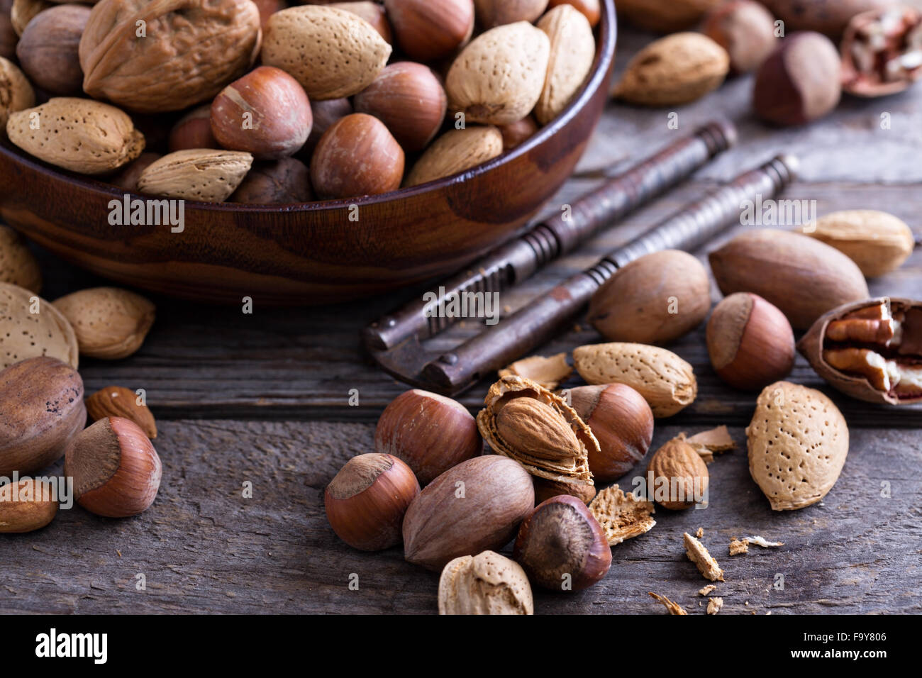 Variety nuts shells in brown hi-res stock photography and images - Alamy