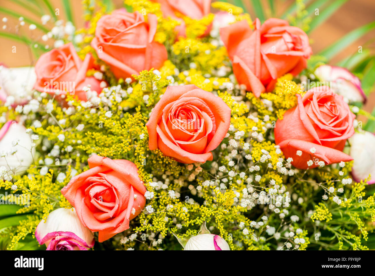 Nice roses in celebration concept Stock Photo - Alamy