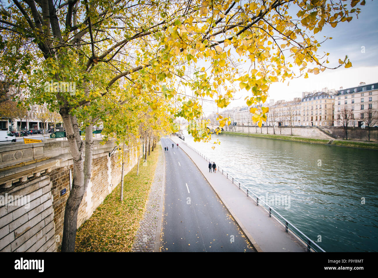 Autumn color along the Seine, in Paris, France Stock Photo - Alamy