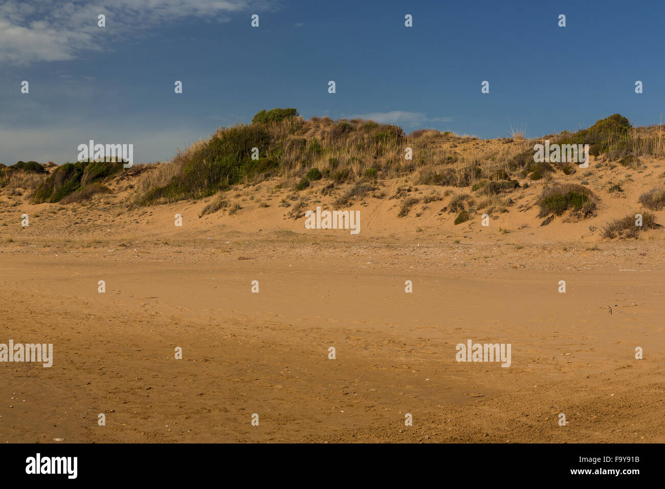 Desert duna in Turkey Stock Photo - Alamy