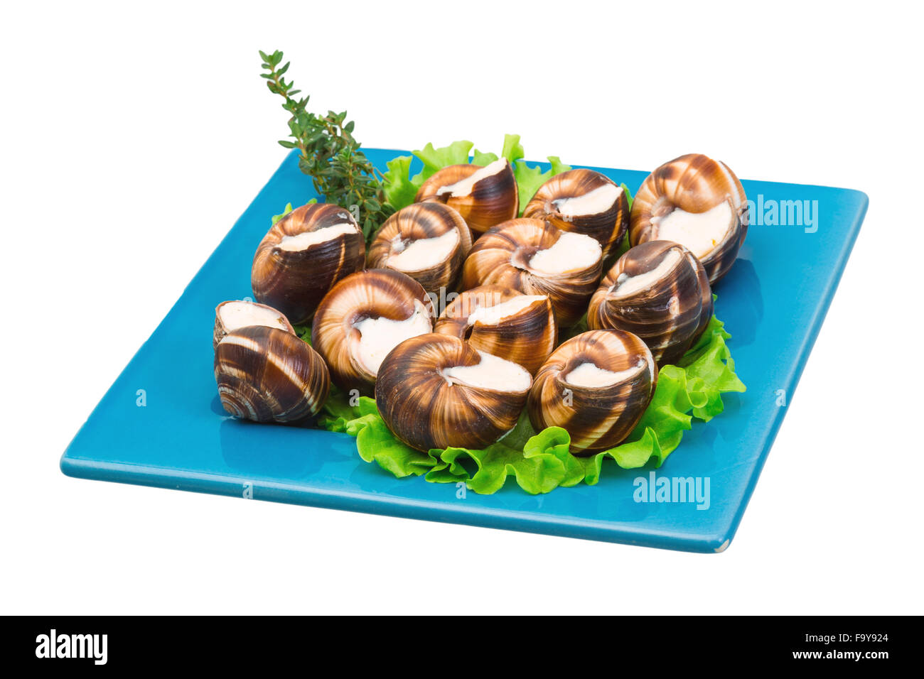 Escargot with cheese sauce Stock Photo - Alamy
