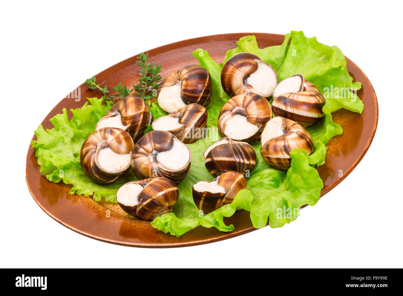 Escargot with cheese sauce Stock Photo - Alamy