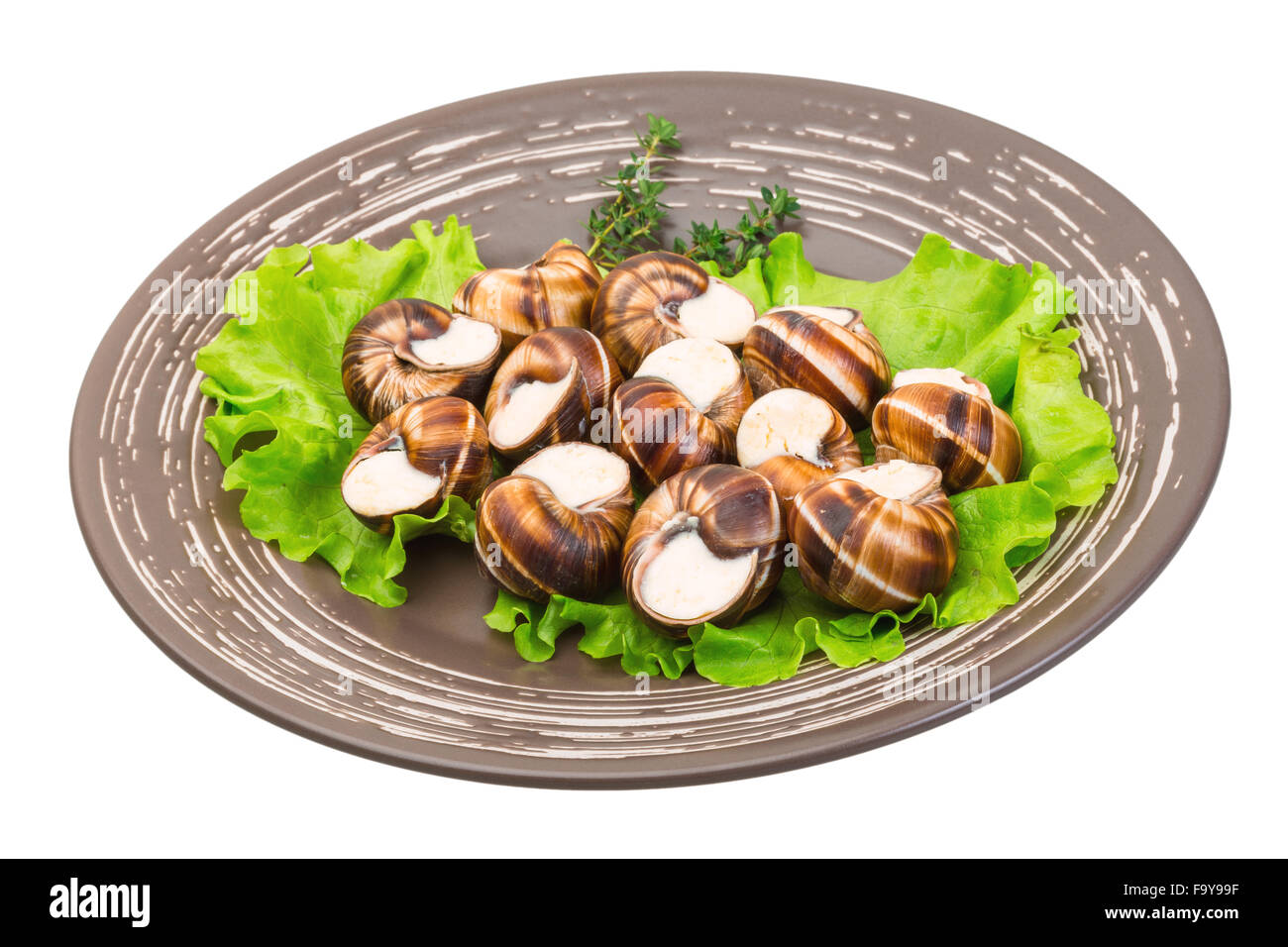 Escargot with cheese sauce Stock Photo - Alamy