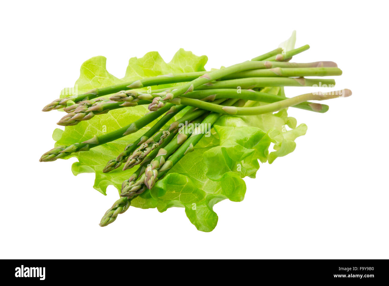 Baby asparagus isolated Stock Photo - Alamy
