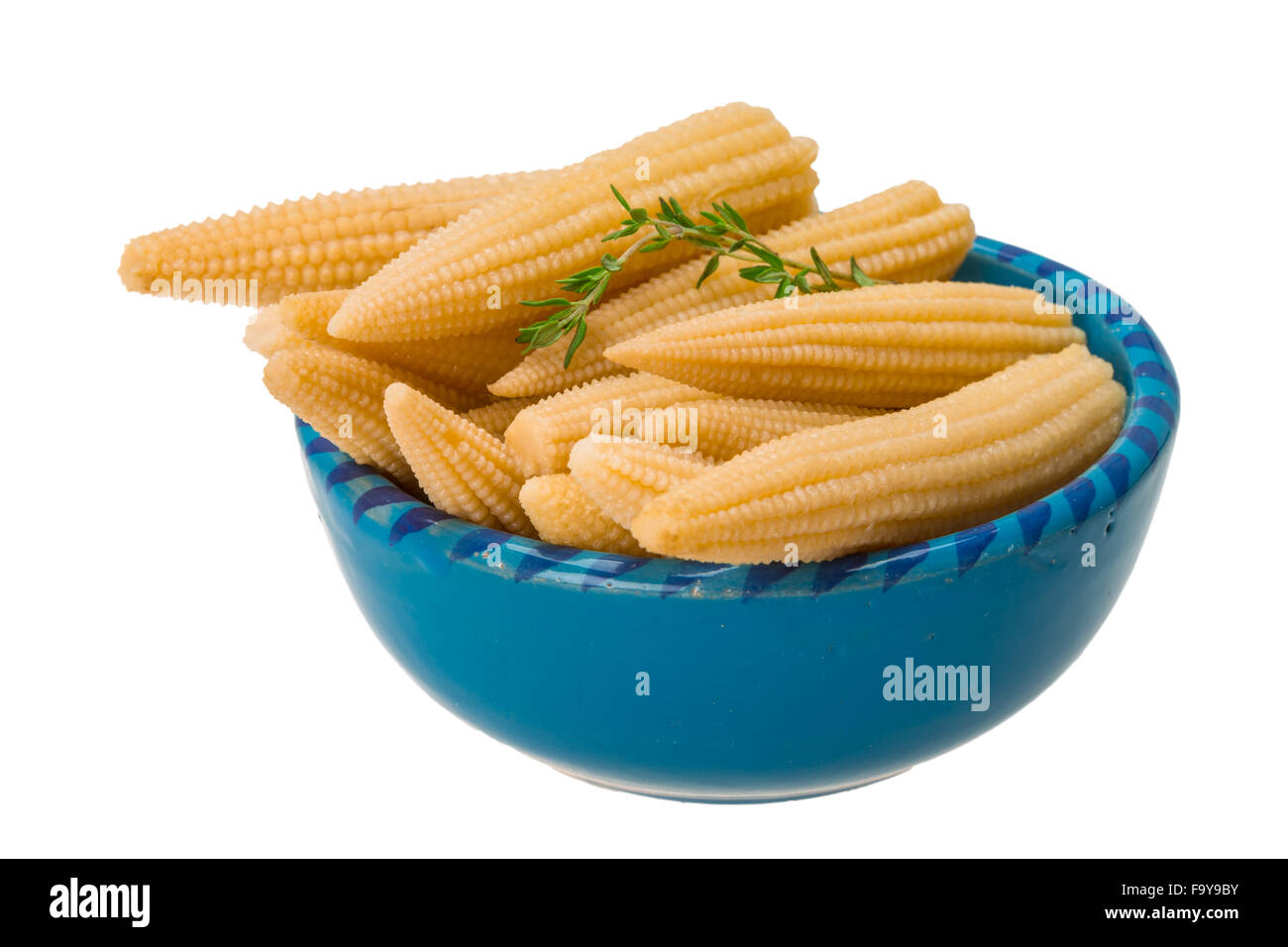 Baby corn isolated Stock Photo - Alamy