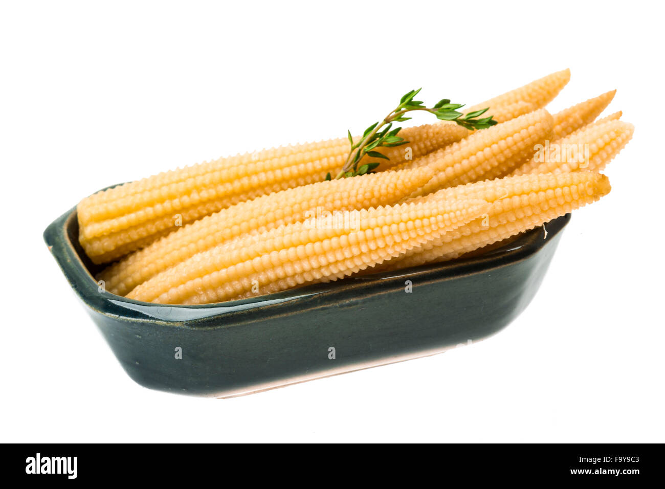 Baby corn isolated Stock Photo - Alamy