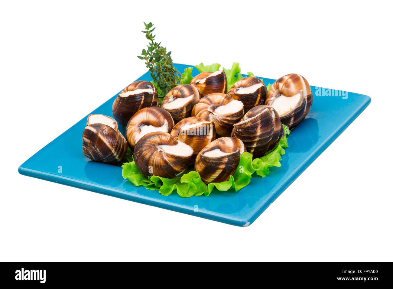 Escargot with cheese sauce Stock Photo - Alamy