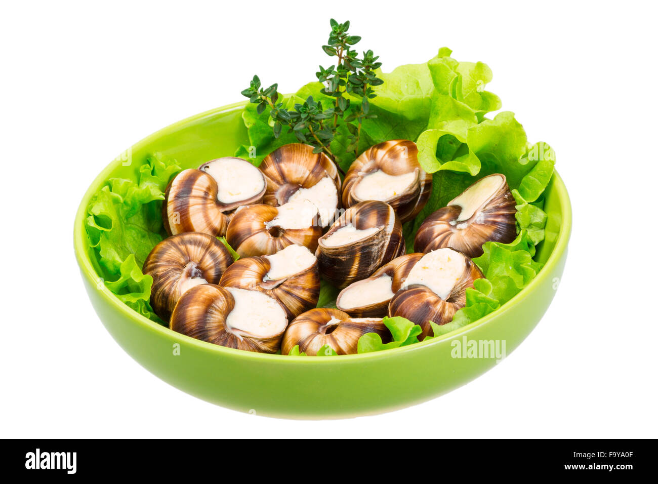 Escargot with cheese sauce Stock Photo - Alamy
