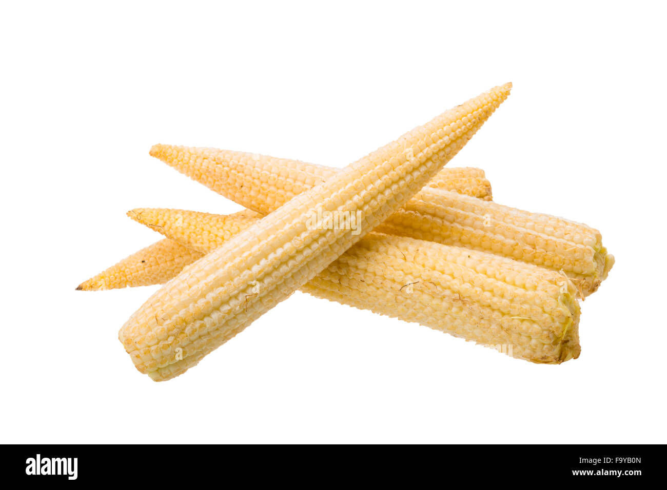 Baby corn isolated Stock Photo - Alamy