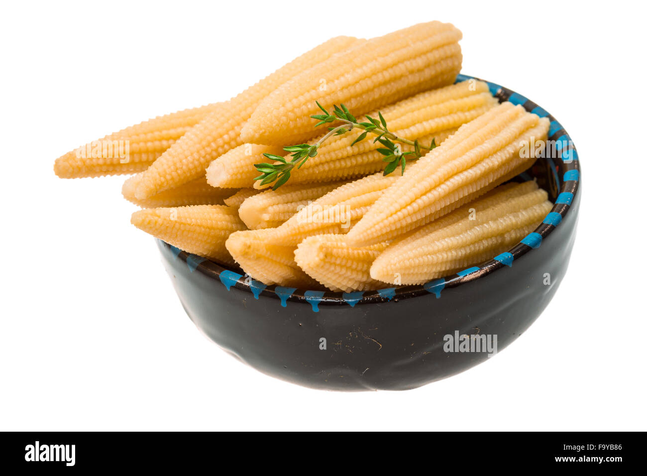 Baby corn isolated Stock Photo - Alamy