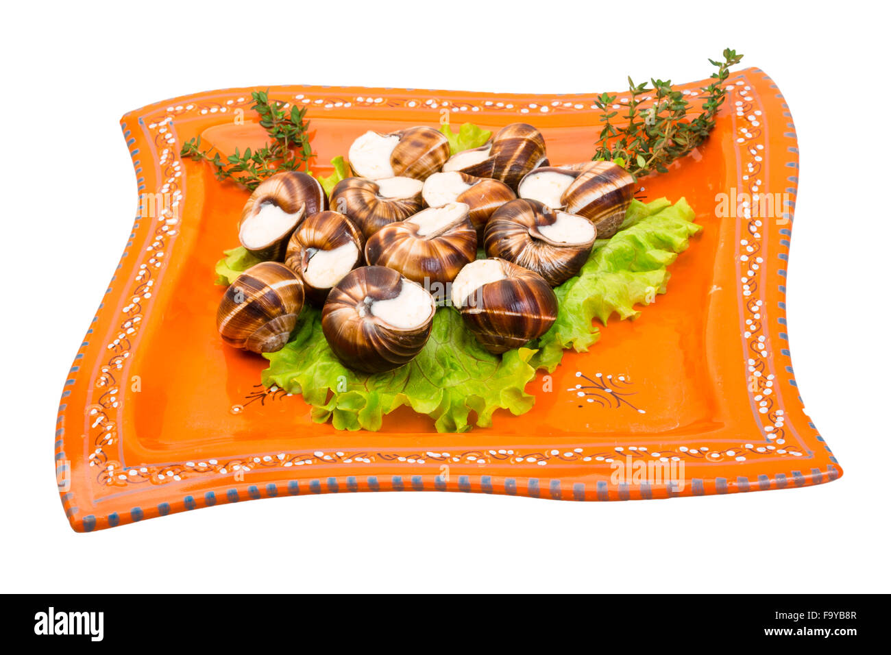 Escargot with cheese sauce Stock Photo - Alamy