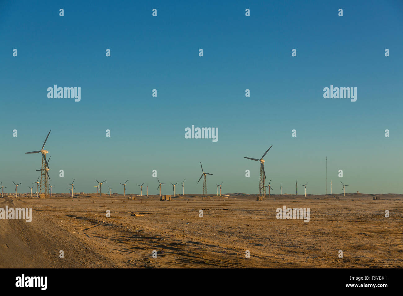 Wind farm in Egypt Stock Photo - Alamy
