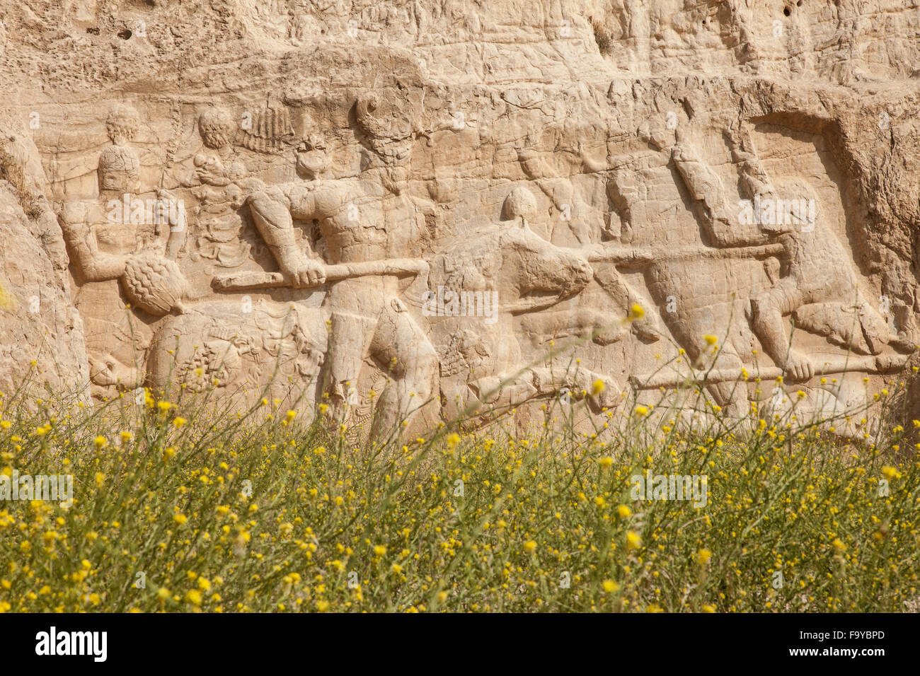 rock reliefs and tombs at Naqsh-e Rustam, Iran Stock Photo - Alamy