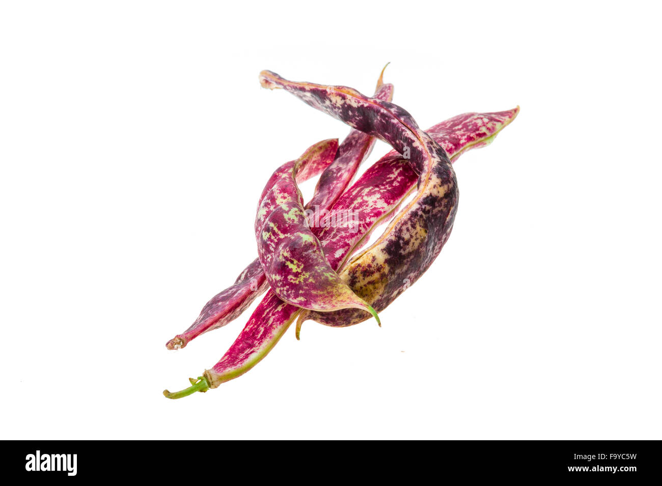 Red bean pod Stock Photo - Alamy