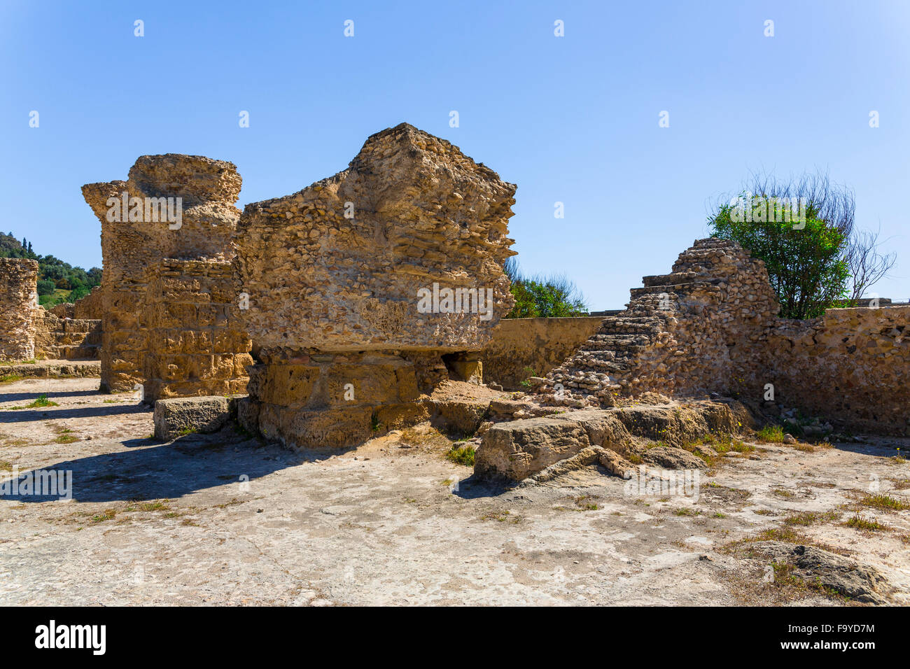 Old Carthage ruins in Tunisia Stock Photo - Alamy