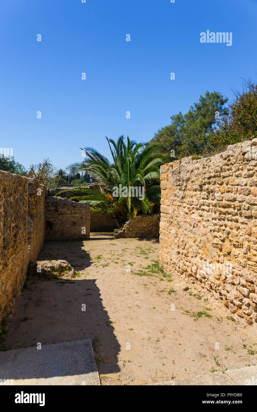 Old Carthage ruins in Tunisia Stock Photo - Alamy