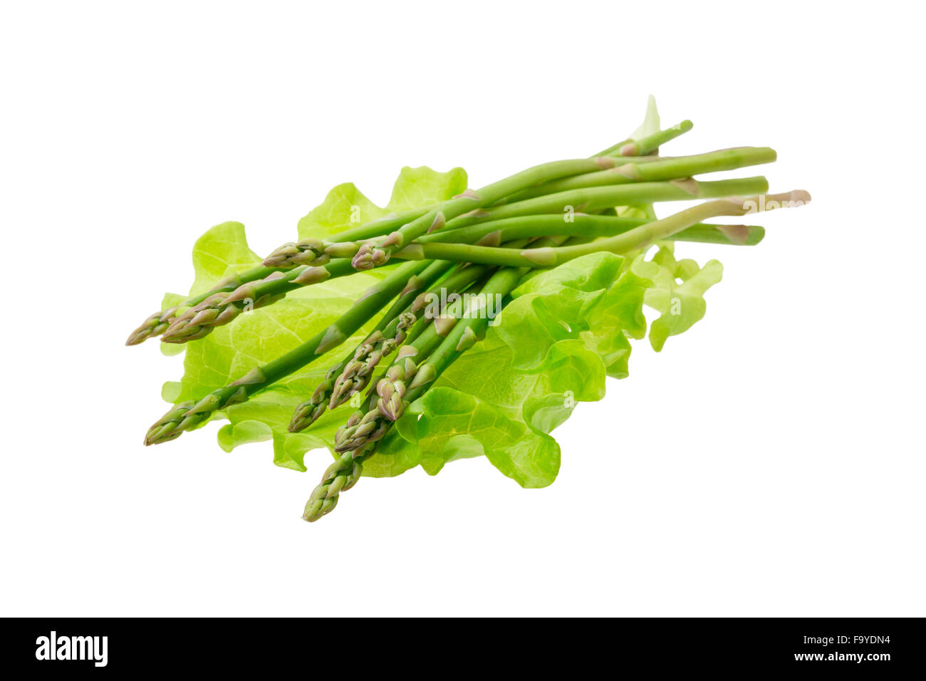 Baby asparagus isolated Stock Photo - Alamy