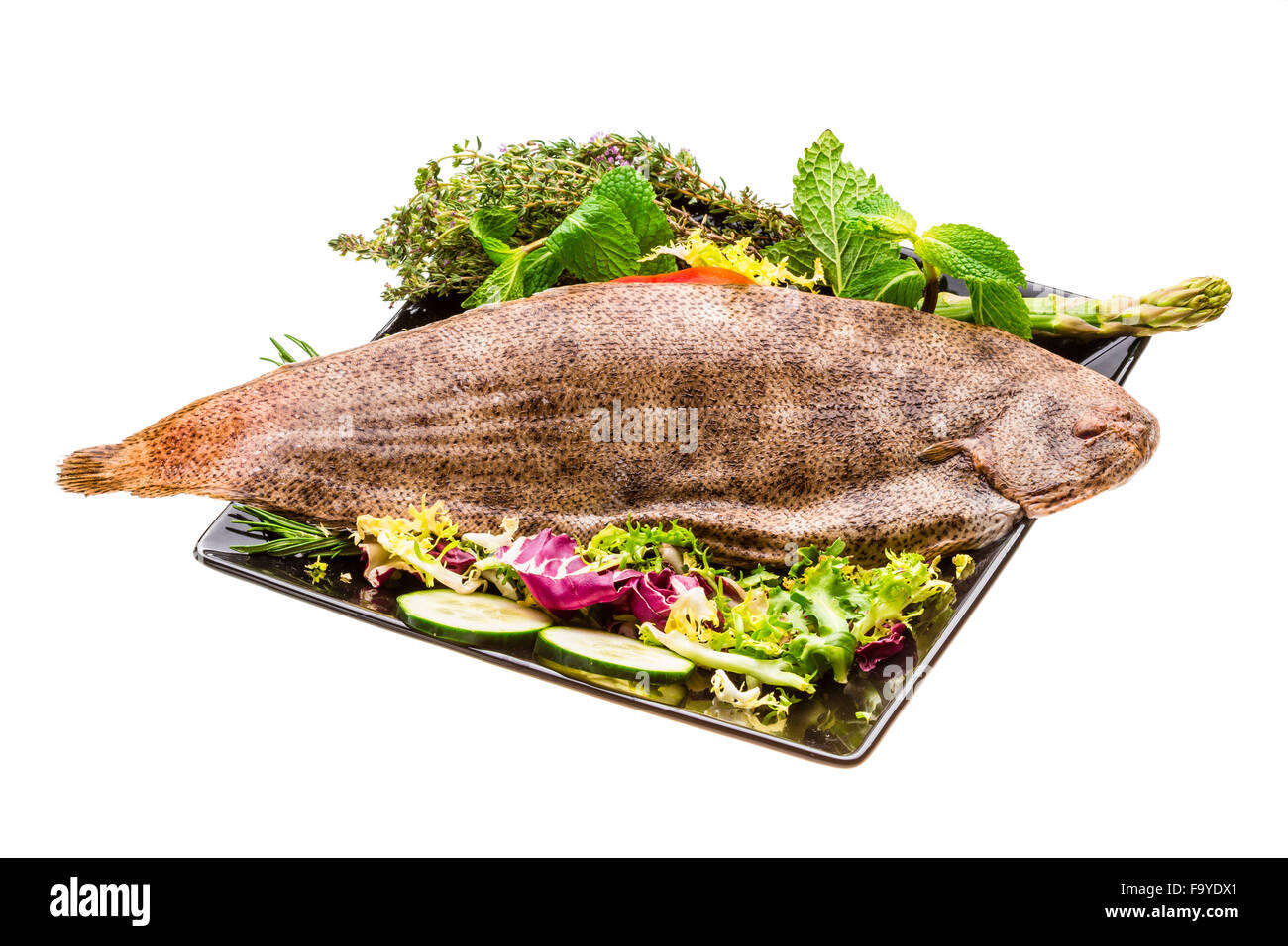 Fish Dover sole Stock Photo - Alamy