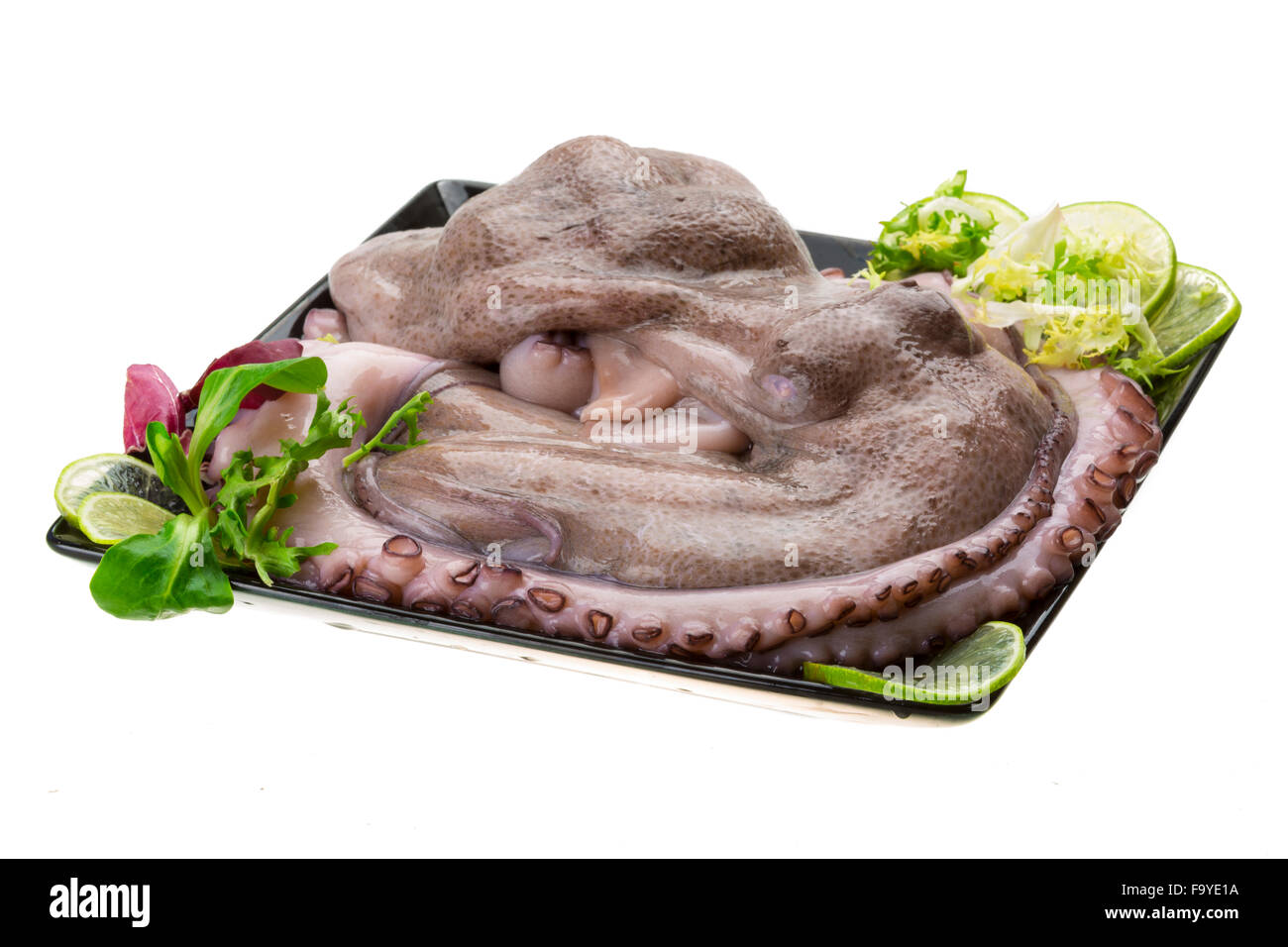 Raw large octopus Stock Photo - Alamy