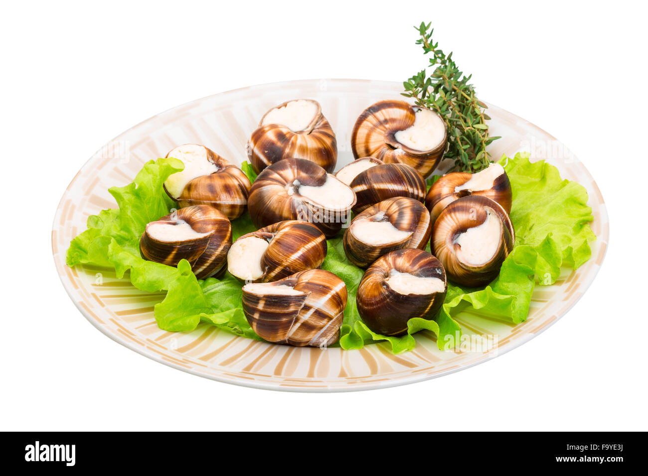 Escargot with cheese sauce Stock Photo - Alamy