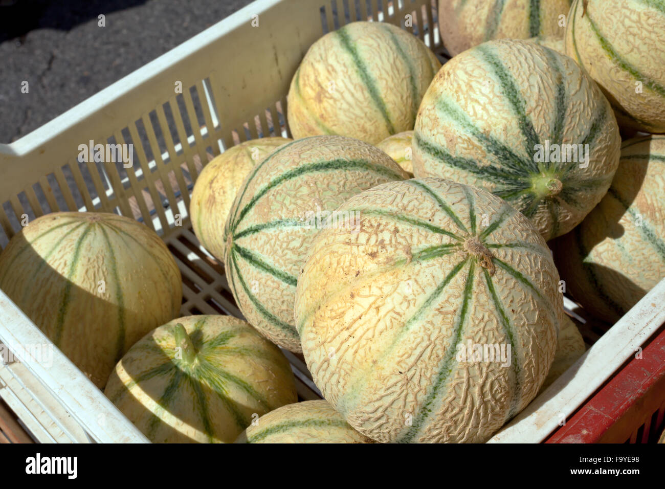 Melons in box hi-res stock photography and images - Alamy