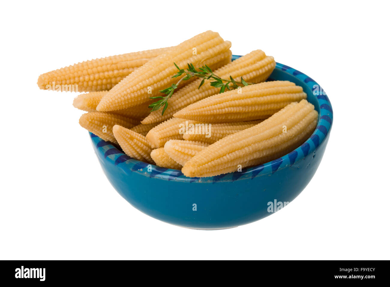 Baby corn isolated Stock Photo - Alamy