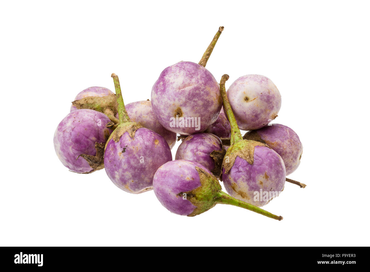 Asian violet eggplant isolated Stock Photo - Alamy