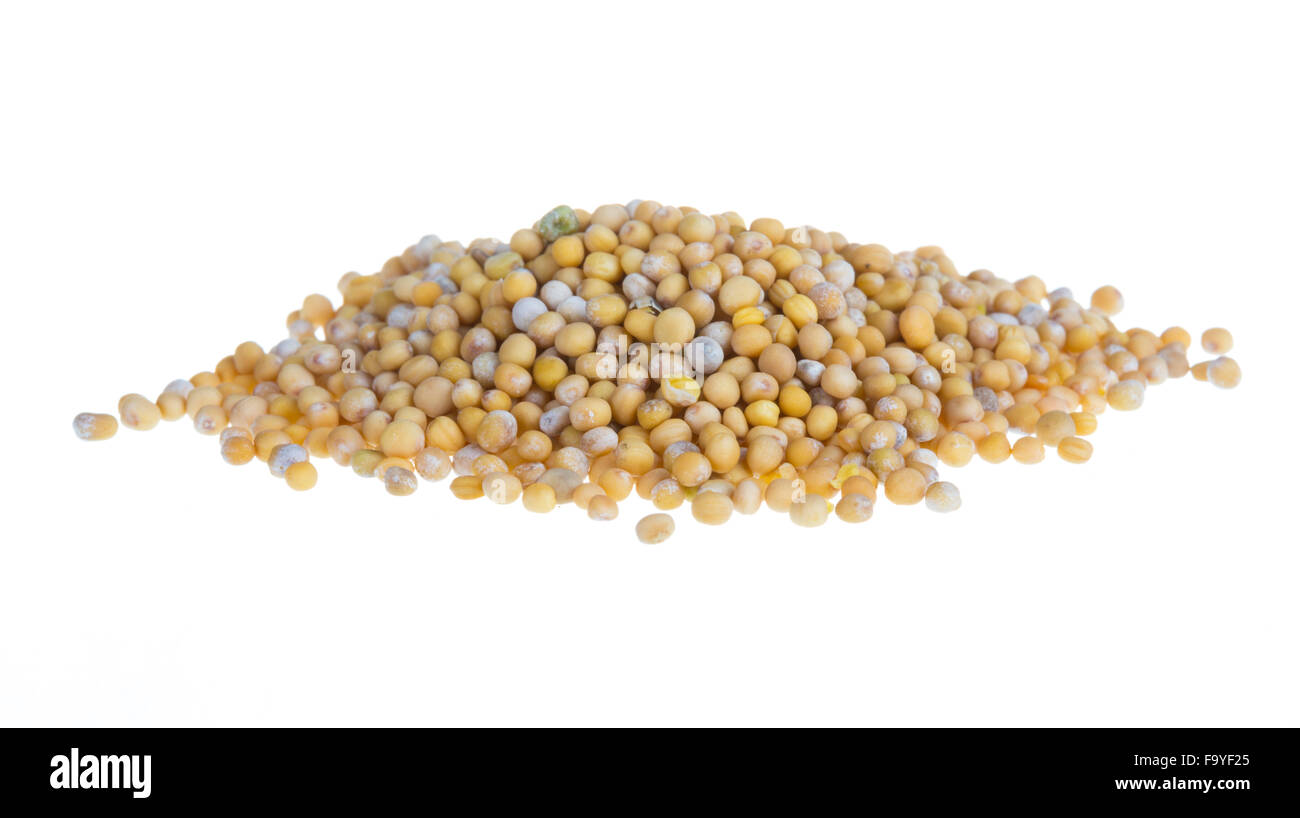 yellow mustard seeds Stock Photo - Alamy
