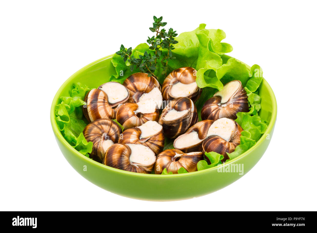 Escargot with cheese sauce Stock Photo - Alamy