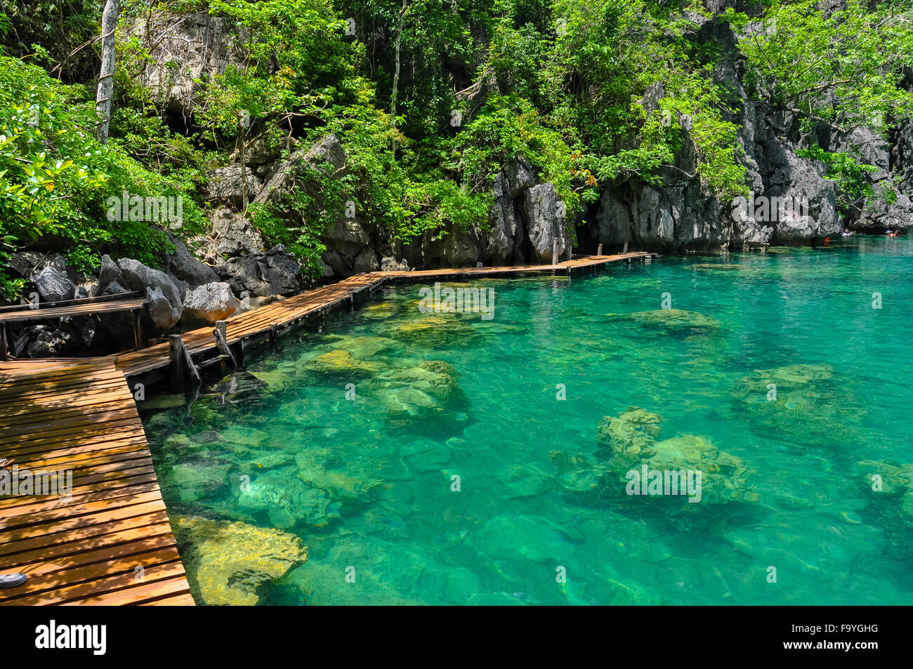 Very Clean and Clear lagoon lake Water next to a wooden path Stock ...