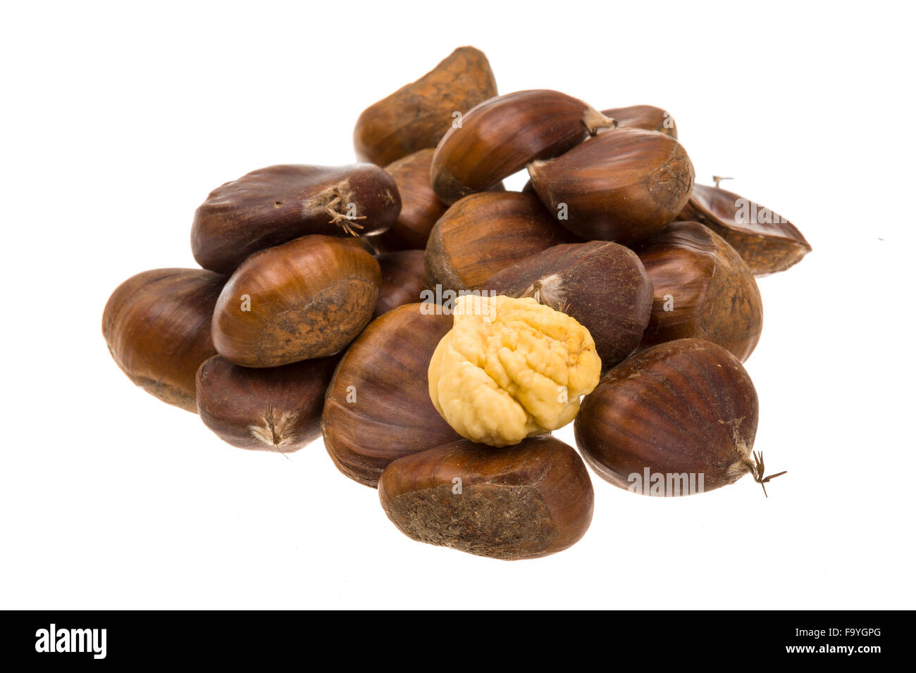 Chestnut isolated on white Stock Photo - Alamy