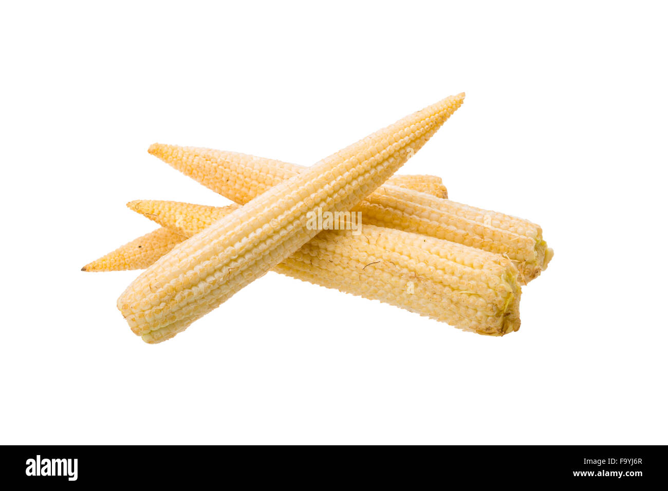 Baby corn isolated Stock Photo - Alamy