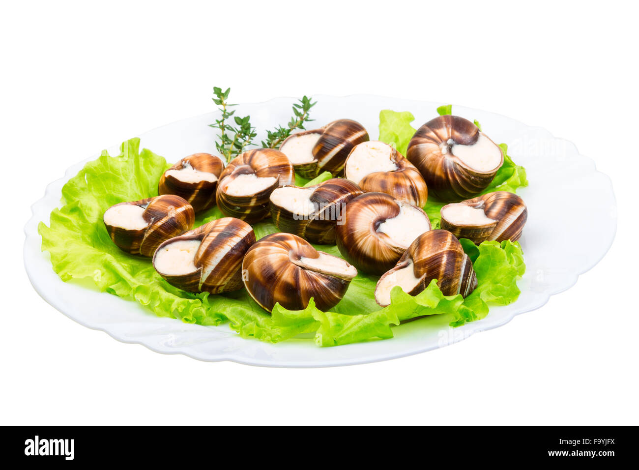 Escargot with cheese sauce Stock Photo - Alamy