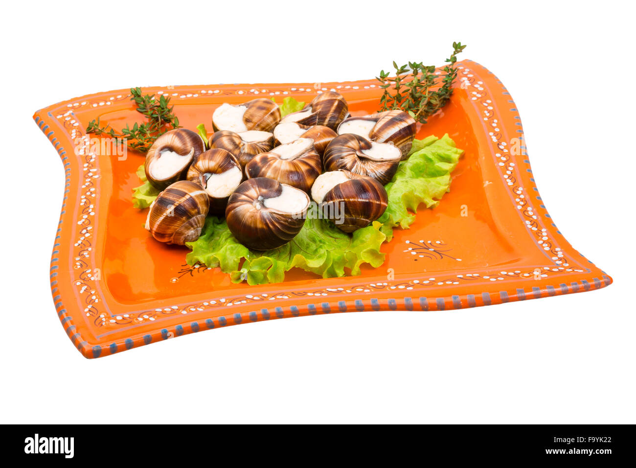 Escargot with cheese sauce Stock Photo - Alamy