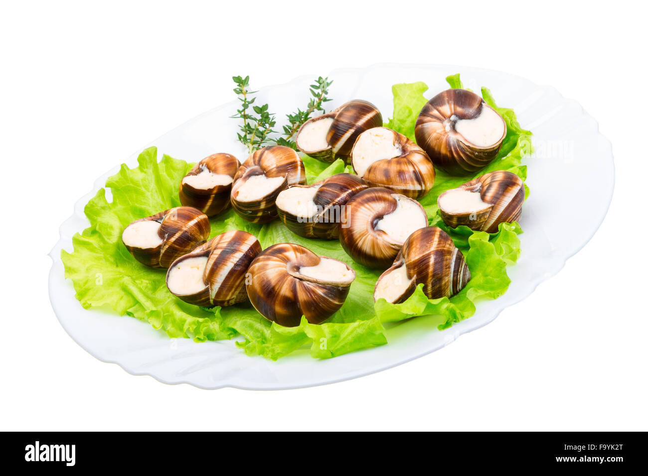 Escargot with cheese sauce Stock Photo - Alamy