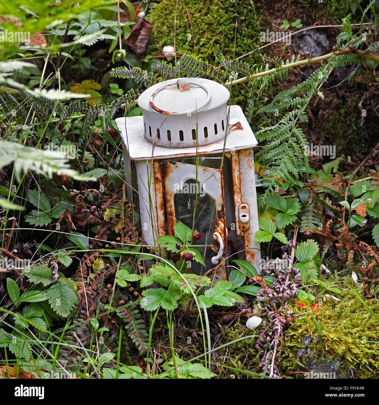 Ornamental storm lamp for candle in summer garden Stock Photo - Alamy