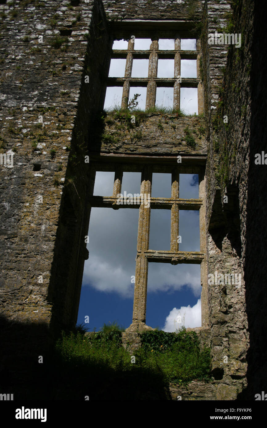 Carew Castle, Pembrokeshire, South Wales Stock Photo - Alamy