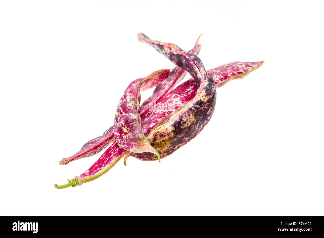 Red bean pod Stock Photo - Alamy