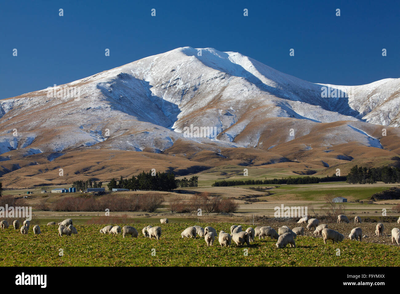 Kakanui hi-res stock photography and images - Alamy