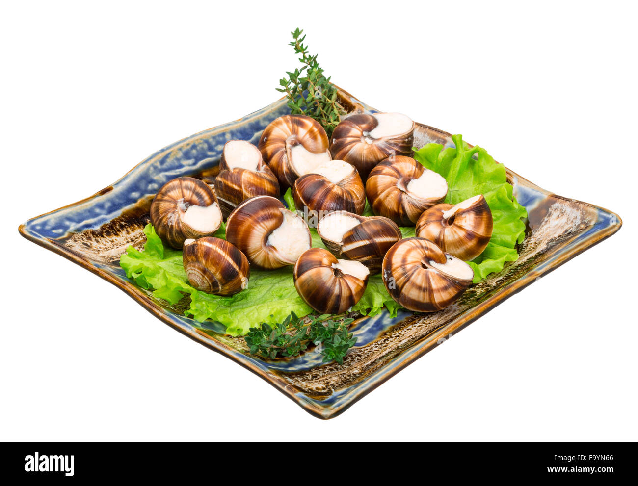 Escargot with cheese sauce Stock Photo - Alamy