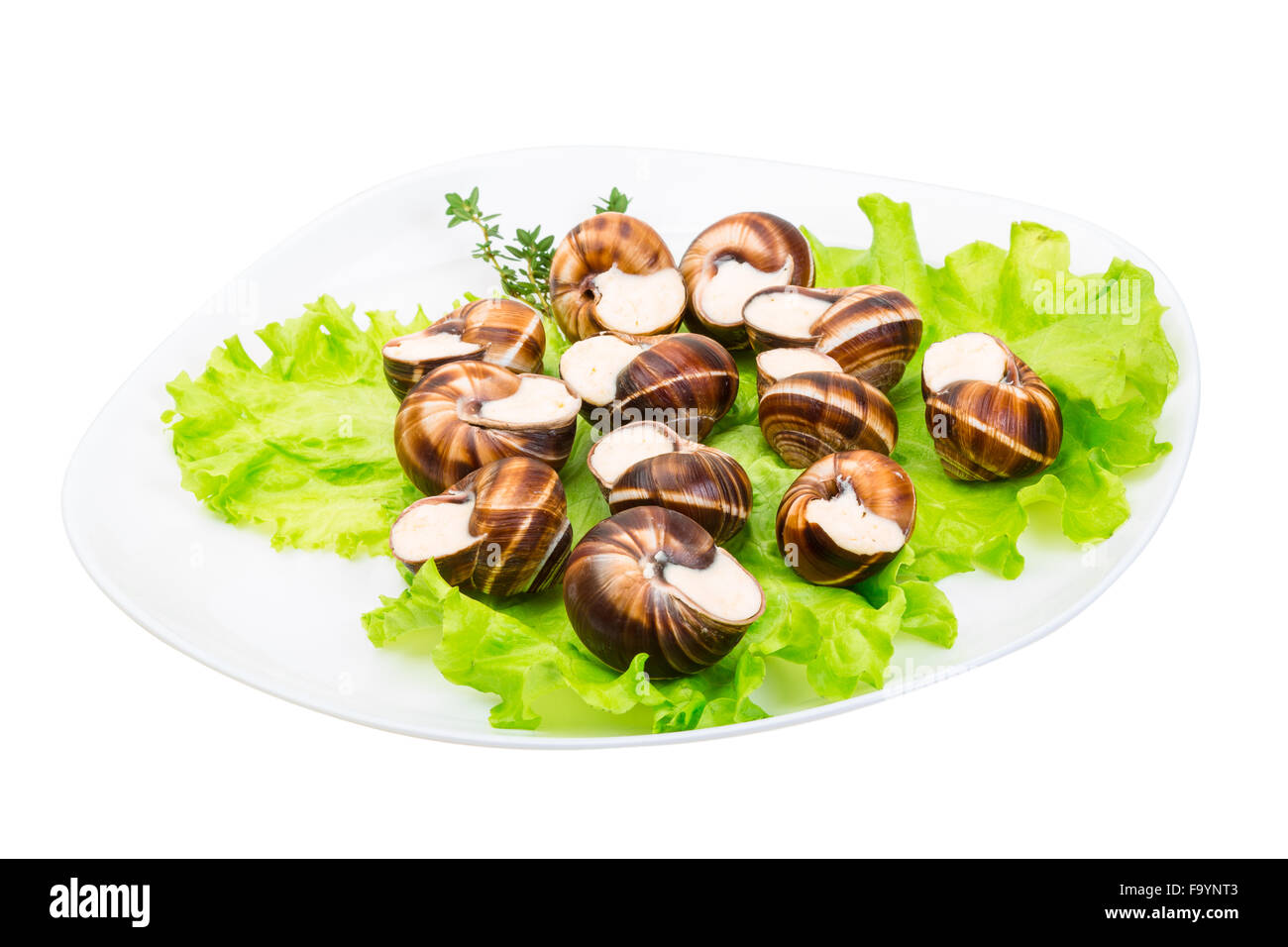 Escargot with cheese sauce Stock Photo - Alamy