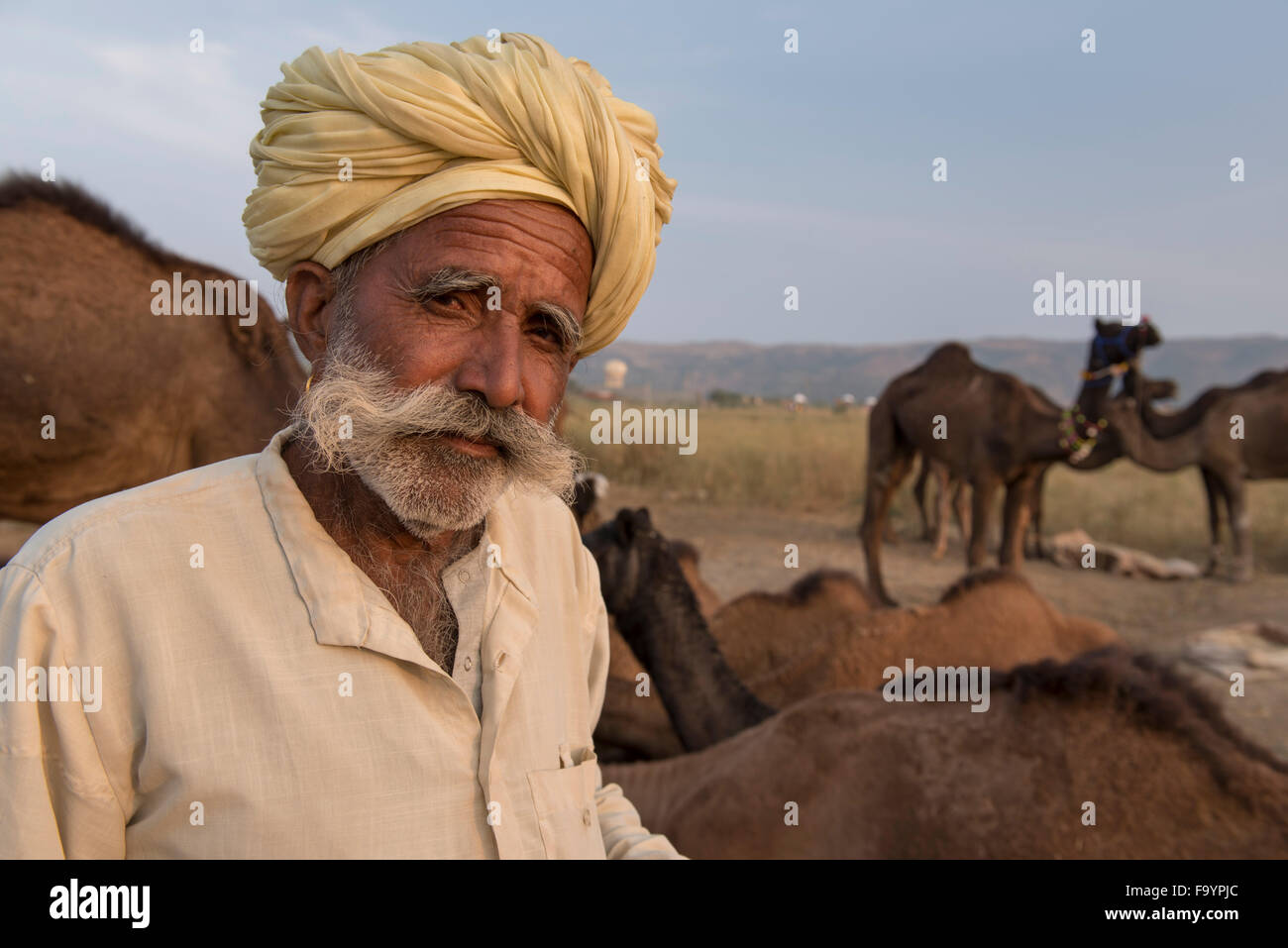 Camel with owner hi-res stock photography and images - Alamy