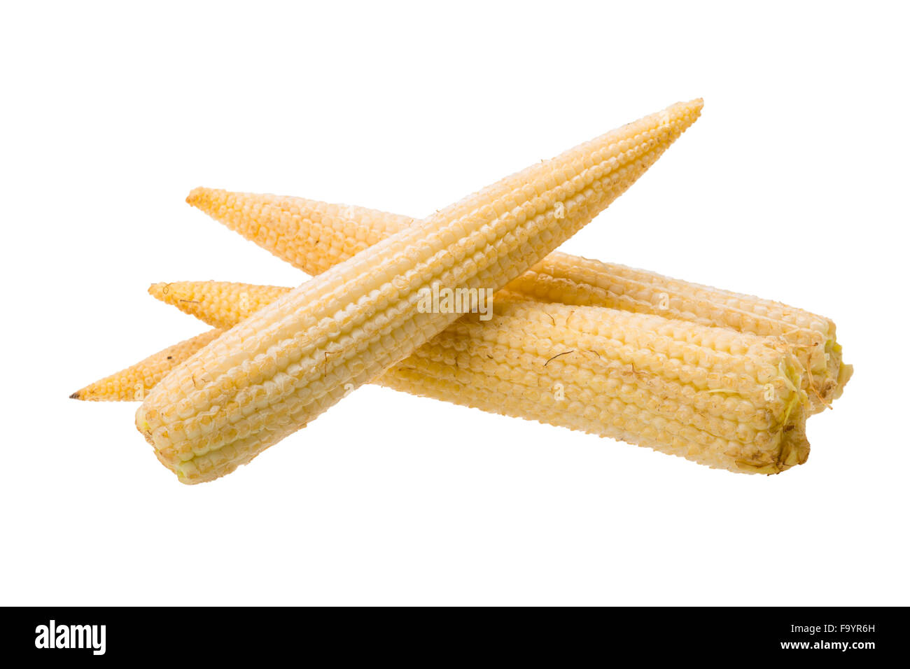 Baby corn isolated Stock Photo - Alamy