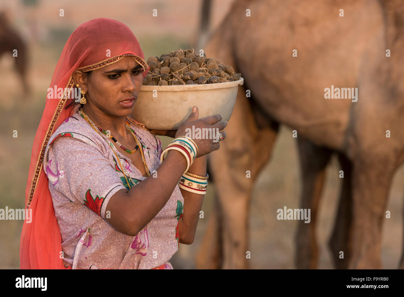 Camel dung hi-res stock photography and images - Alamy