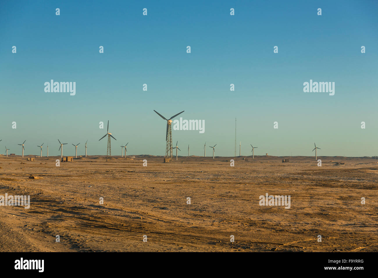 Wind farm in Egypt Stock Photo - Alamy