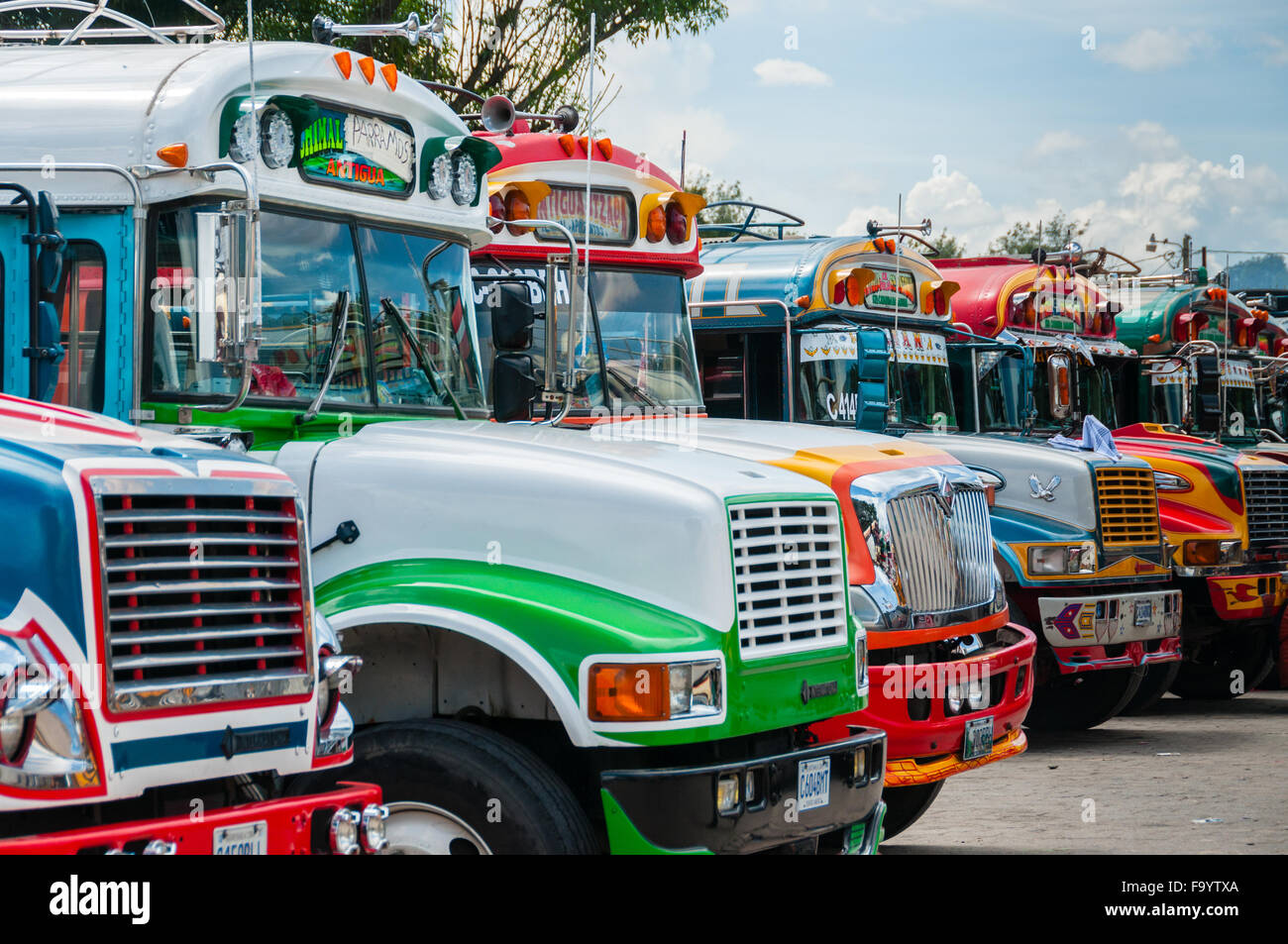 Very Colorful Jeepneys bus trucks in an array Stock Photo - Alamy
