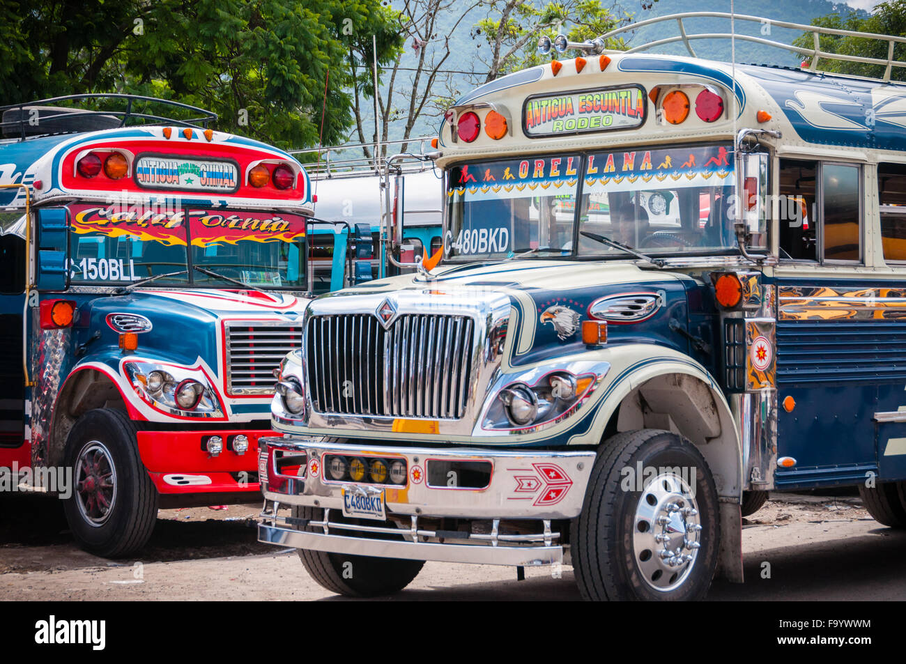 Blue and White Jeepney Bus standing Stock Photo - Alamy