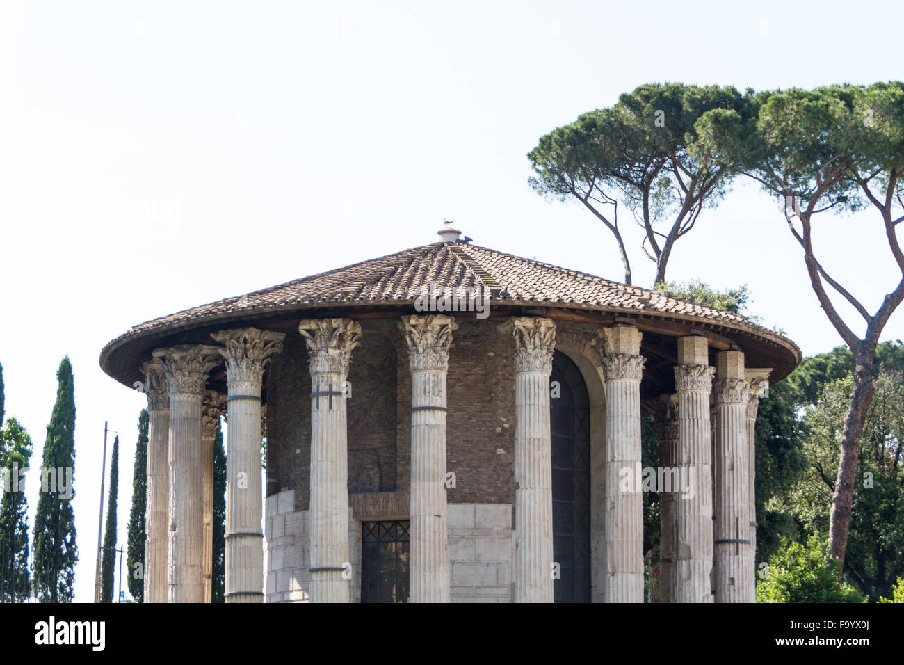 Rome - Vesta temple Stock Photo - Alamy