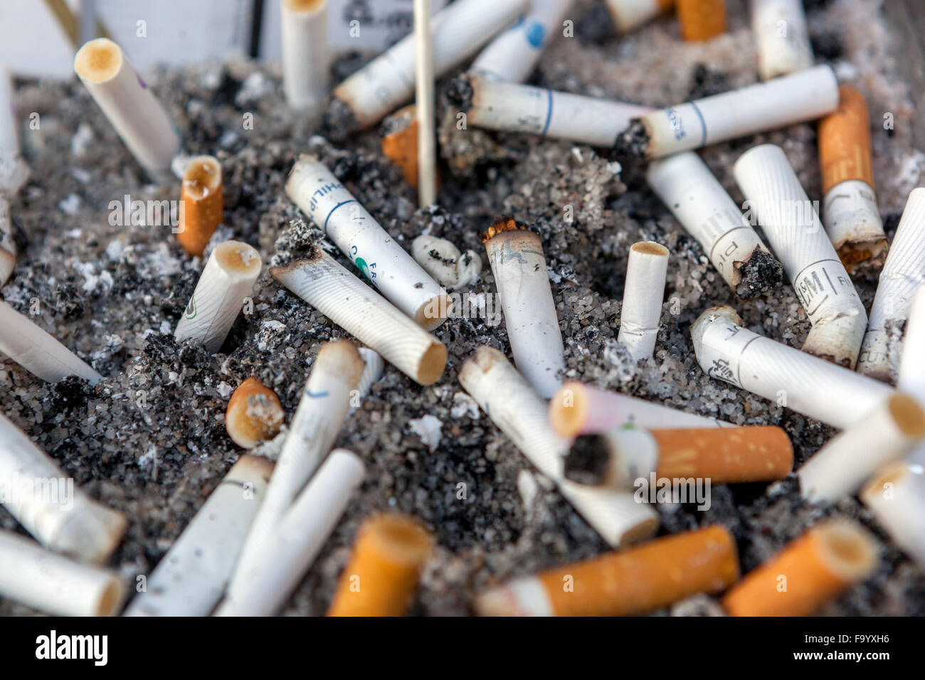 Disgusting still life with cigarette butts Stock Photo - Alamy