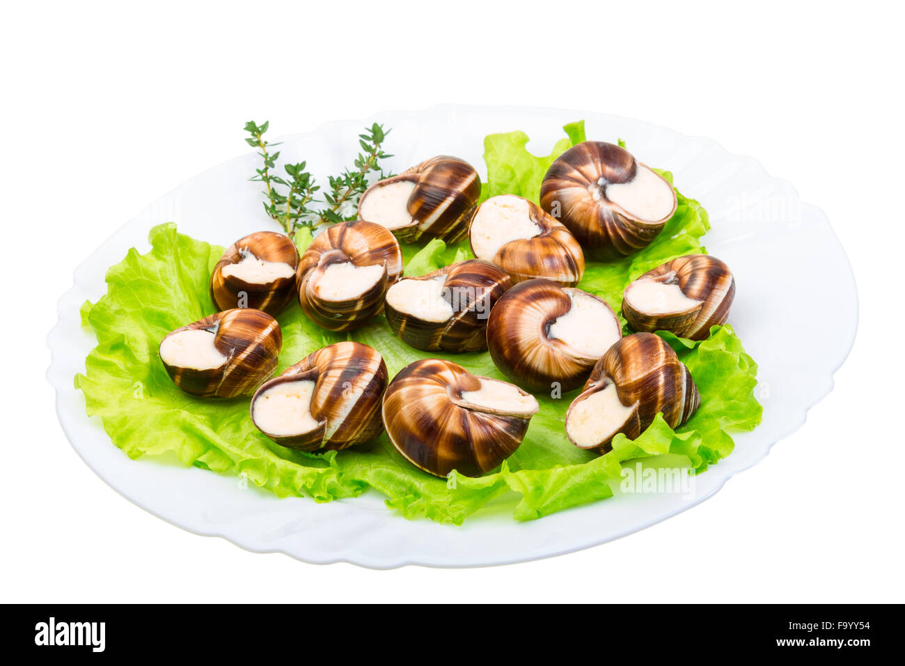 Escargot with cheese sauce Stock Photo - Alamy